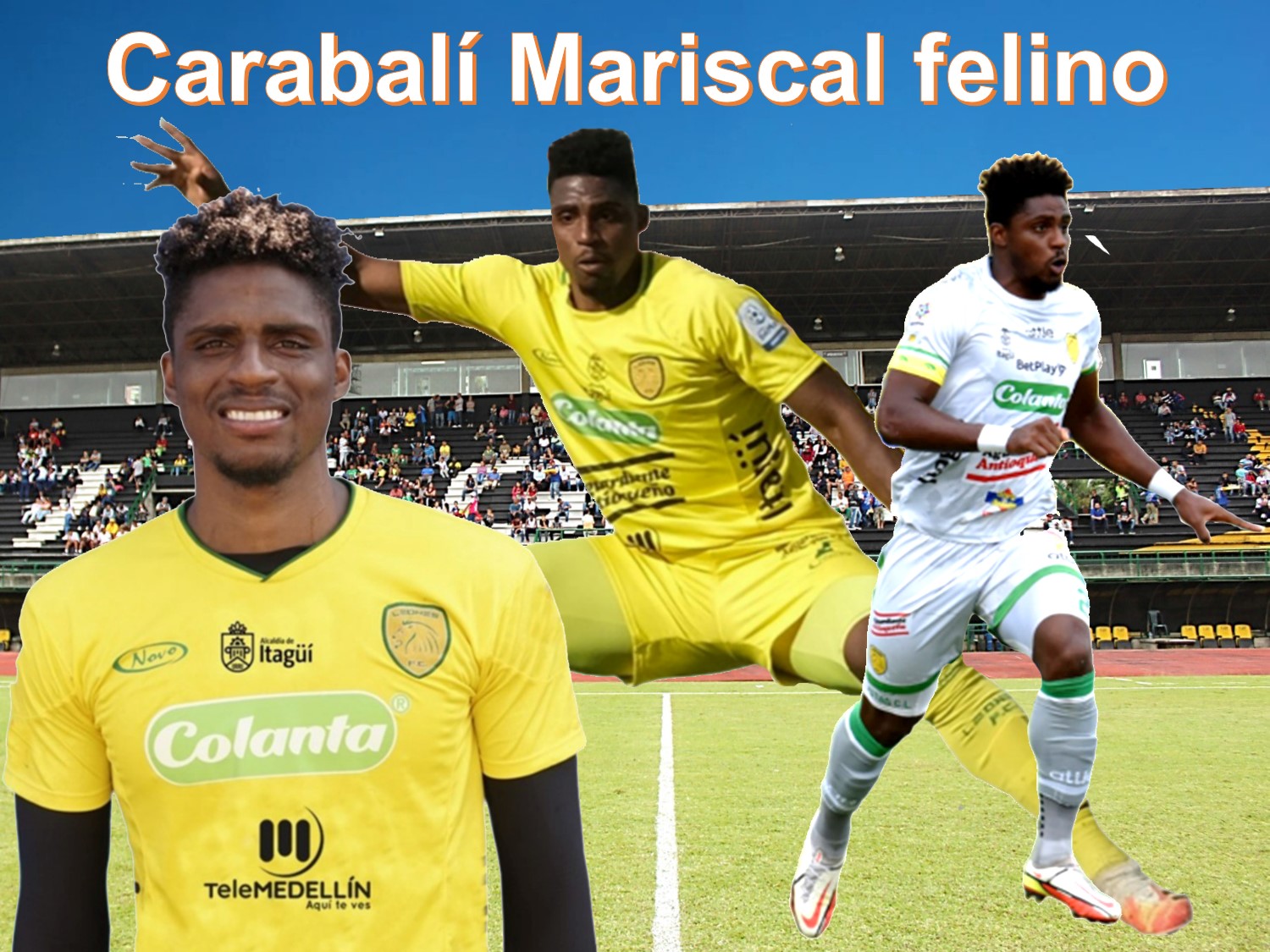 Carabalí, el mariscal del área felina. | Cápsulas de Carreño